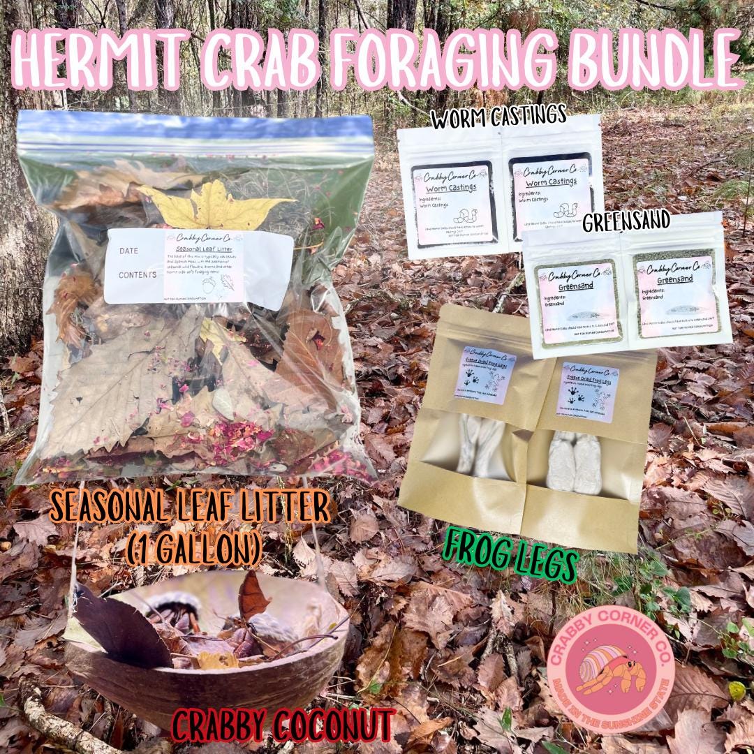 Foraging Bundle for Hermit Crabs, Hermit Crab Foraging Starter Pack ...