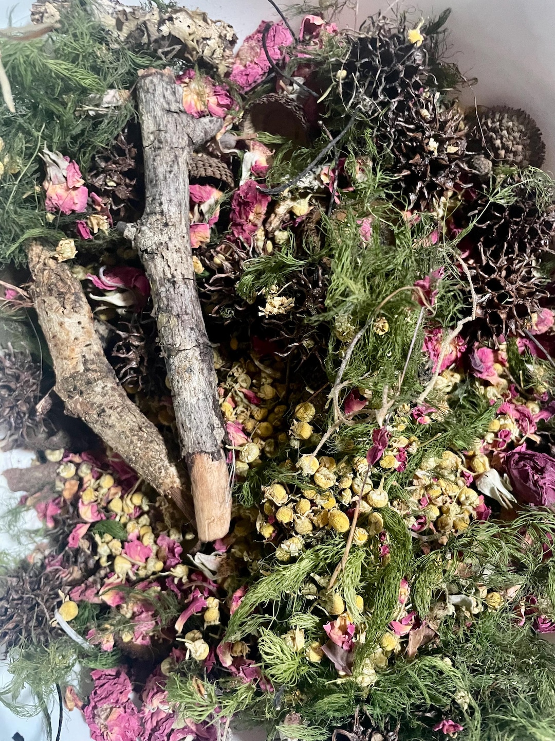 Hornwort Harvest Foraging Mix for Hermit Crabs, Isopods, Terrrariums ...