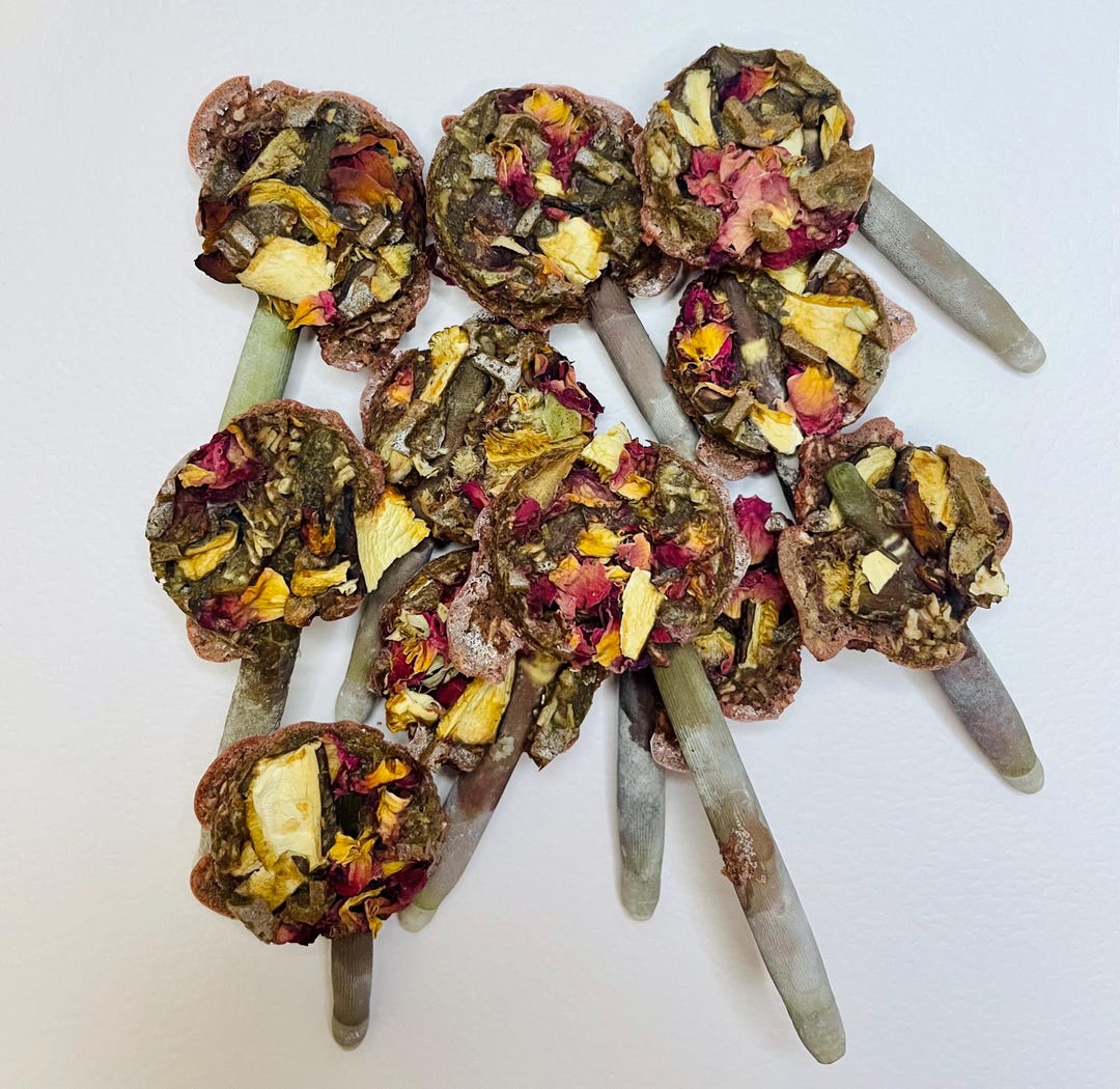 Gourmet Hermit Crab Lollipops, Hermit Crab Food, Hermit Crab Treats ...