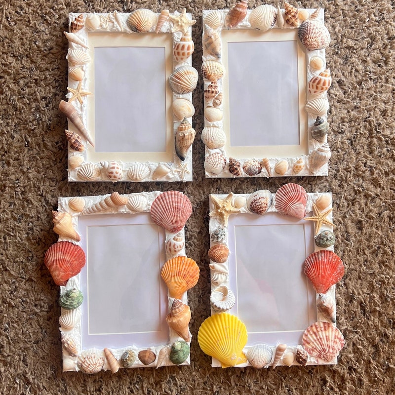 Seashell Frame - Etsy