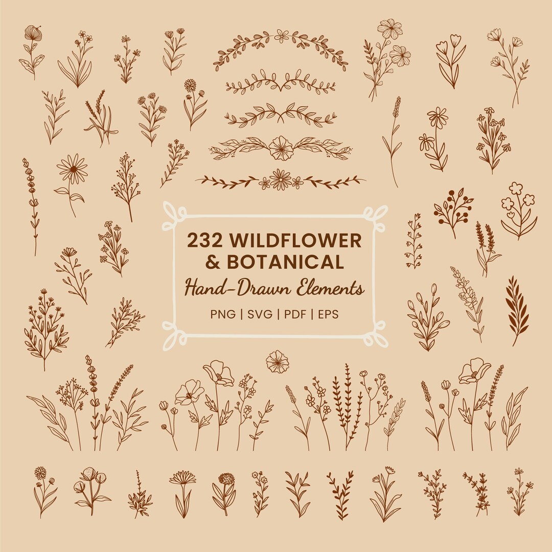 232 Hand Drawn Wildflower Botanical Elements, Boho Whimsical Vector ...