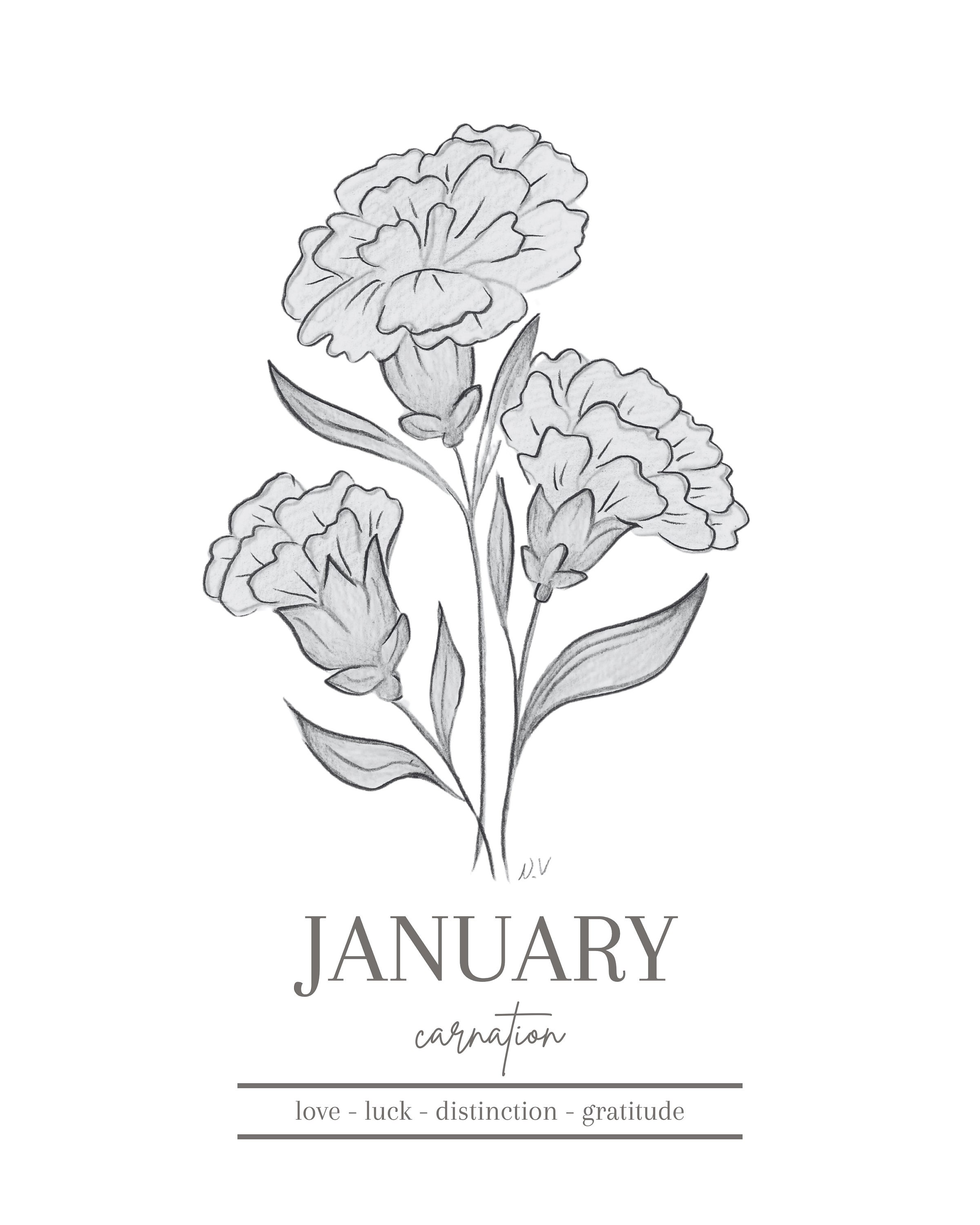 January Birth Flower (B&W) W/text DIGITAL DOWNLOAD - Etsy