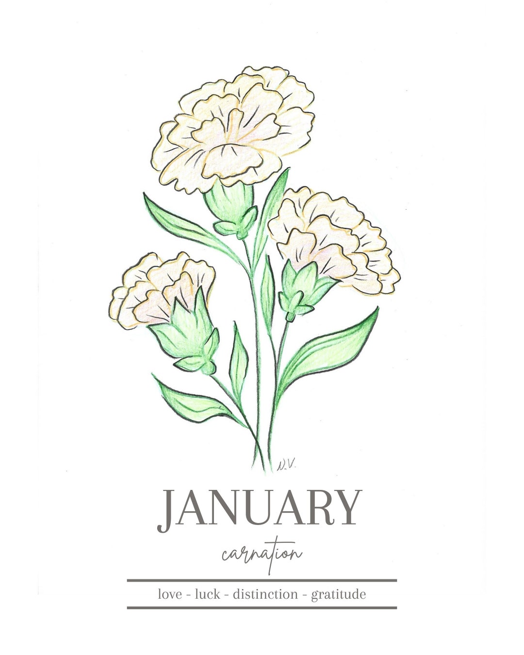 January Birth Flower (color) W/text DIGITAL DOWNLOAD - Etsy