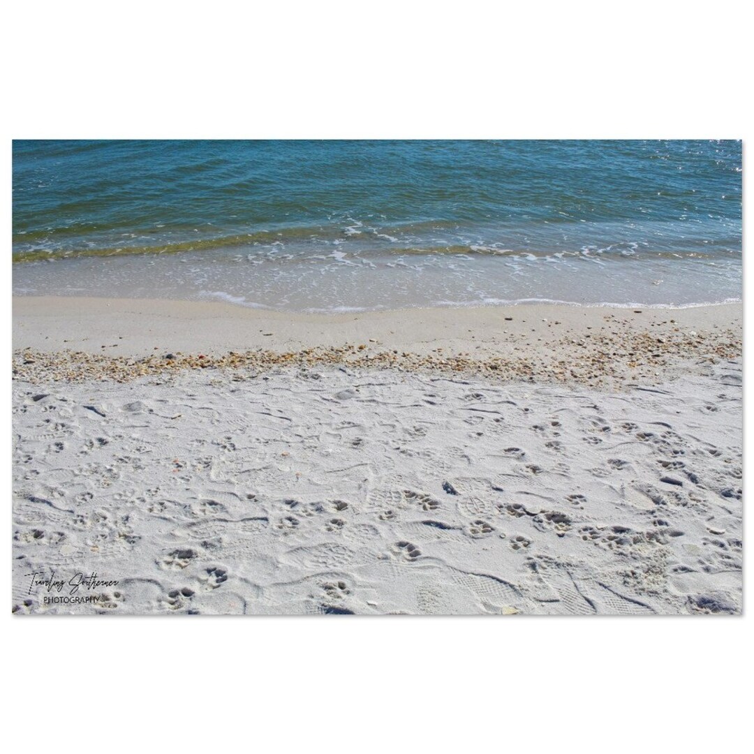 Paw Print Shore Matte Paper Poster - Etsy