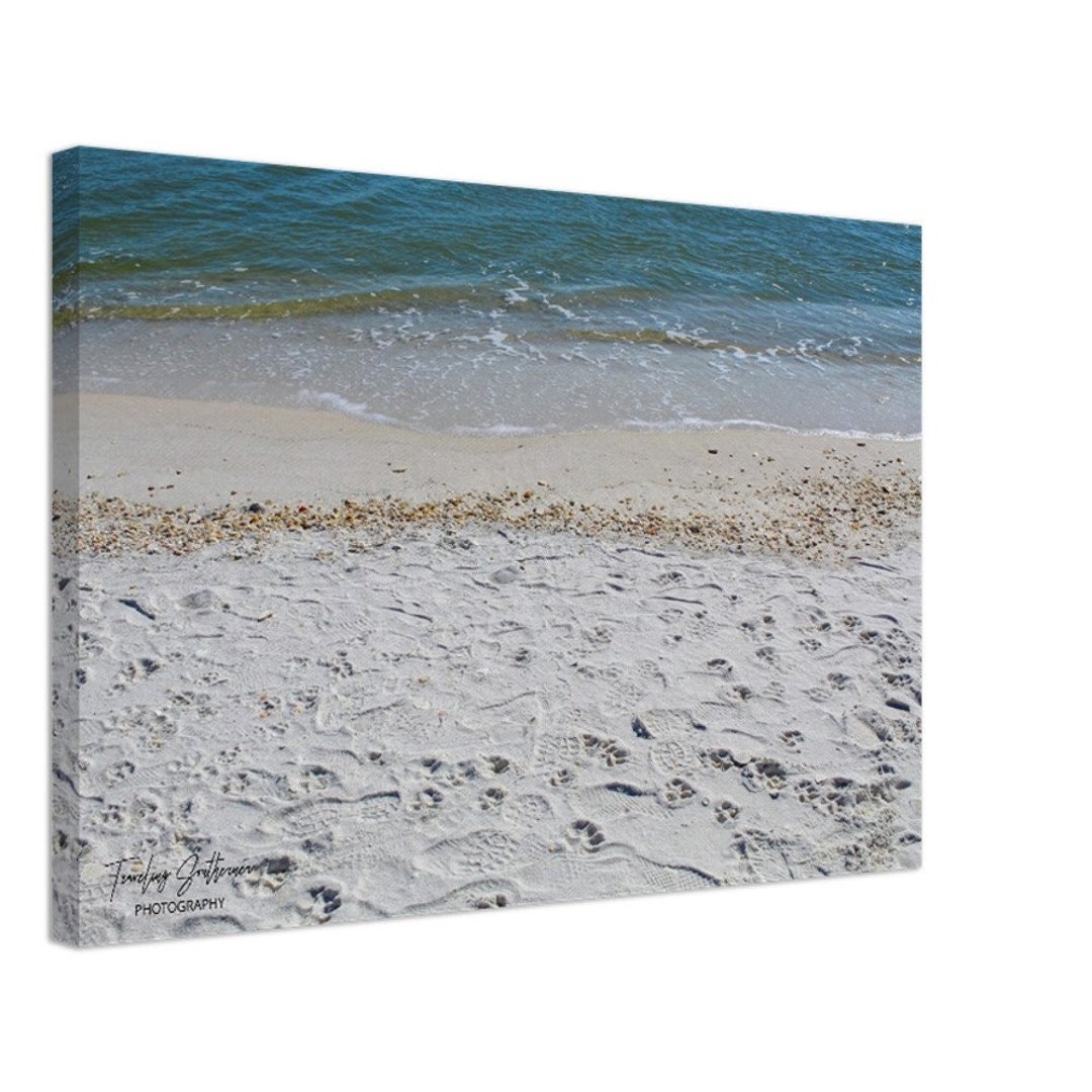 Paw Print Shore Canvas - Etsy