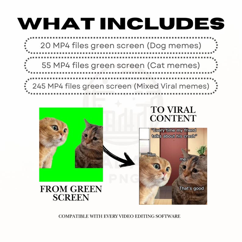 320 Popular Tiktok Memes Green Screen MP4 Files to Create Funny Content ...