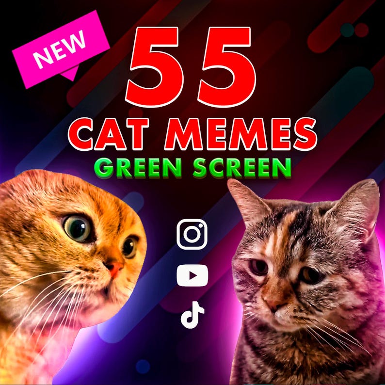 320 Popular Tiktok Memes Green Screen MP4 Files to Create Funny Content ...