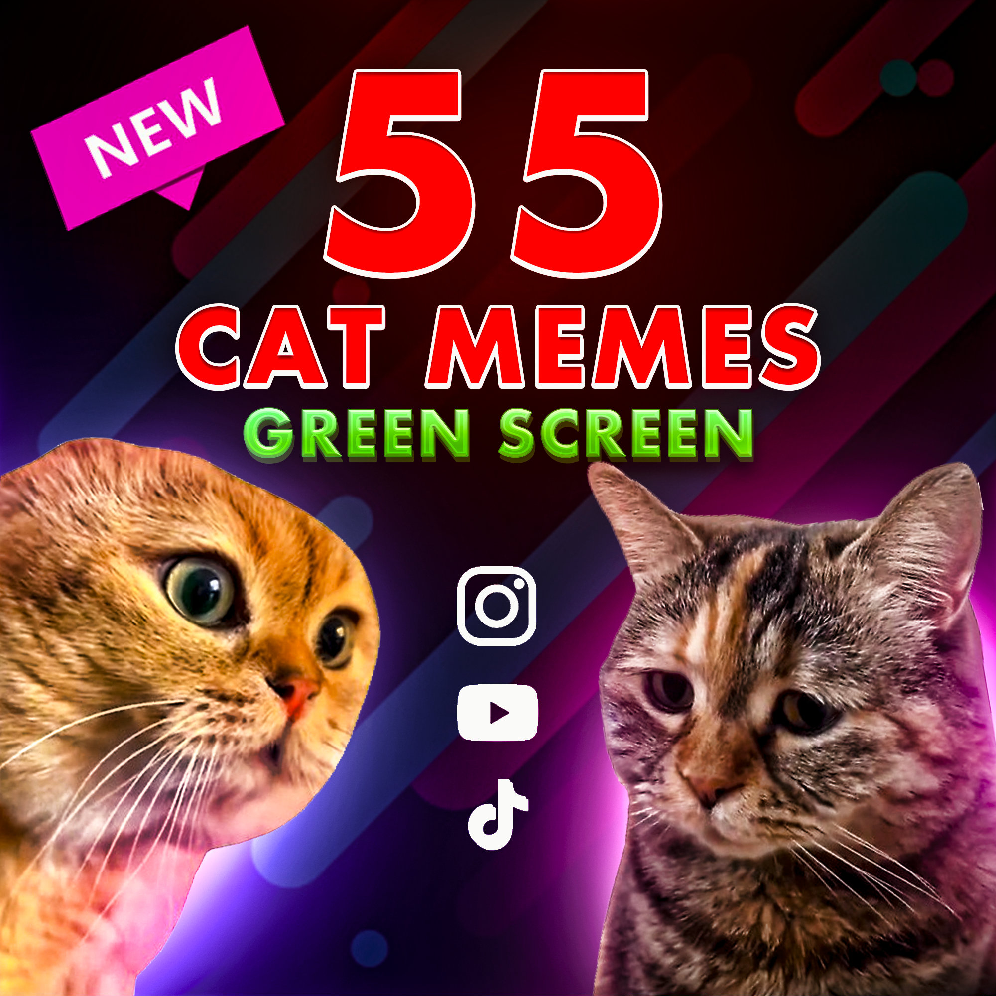 55 Popular Cat Memes Green Screen MP4 Files to Create Funny Content ...