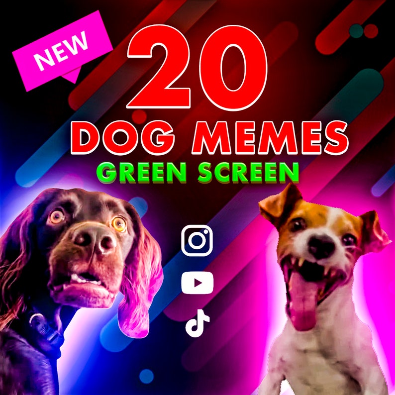20 Popular Dog Memes Green Screen MP4 Files to Create Funny Content ...