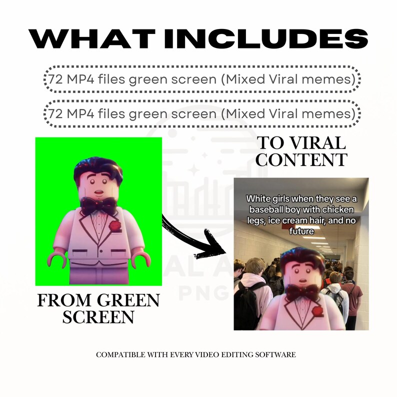 NEW 144 Popular Tiktok Memes Green Screen MP4 Files to Create Funny ...