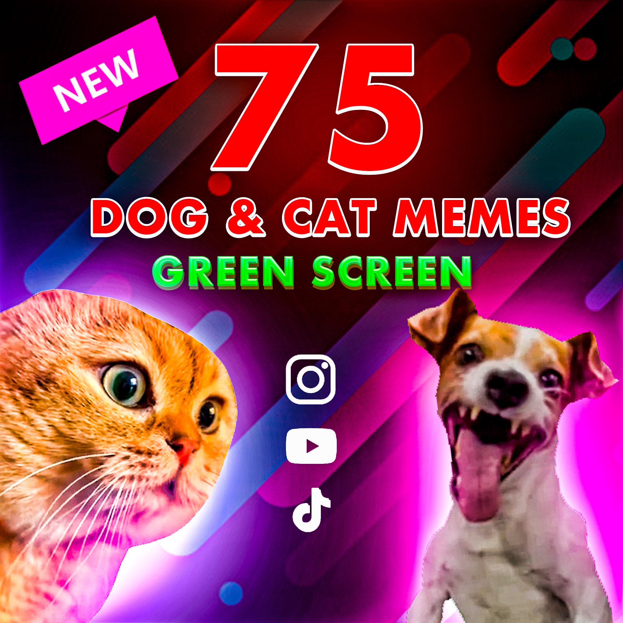 75 Popular Cats and Dogs Memes Green Screen MP4 Files to Create Funny ...