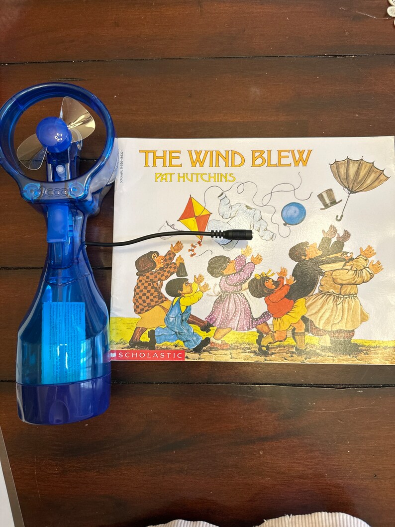 Switch Adapted Literacy Book the Wind Blew - Etsy