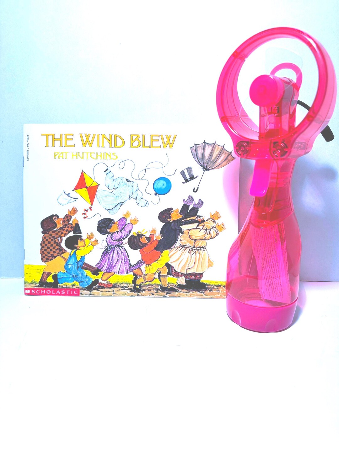 Switch Adapted Literacy Book the Wind Blew - Etsy