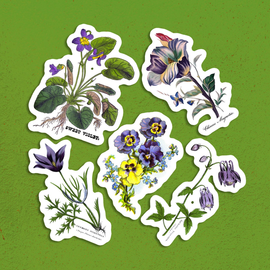 Old Fashioned Purple Flowers Sticker Set, 5 Victorian Botanical Floral ...