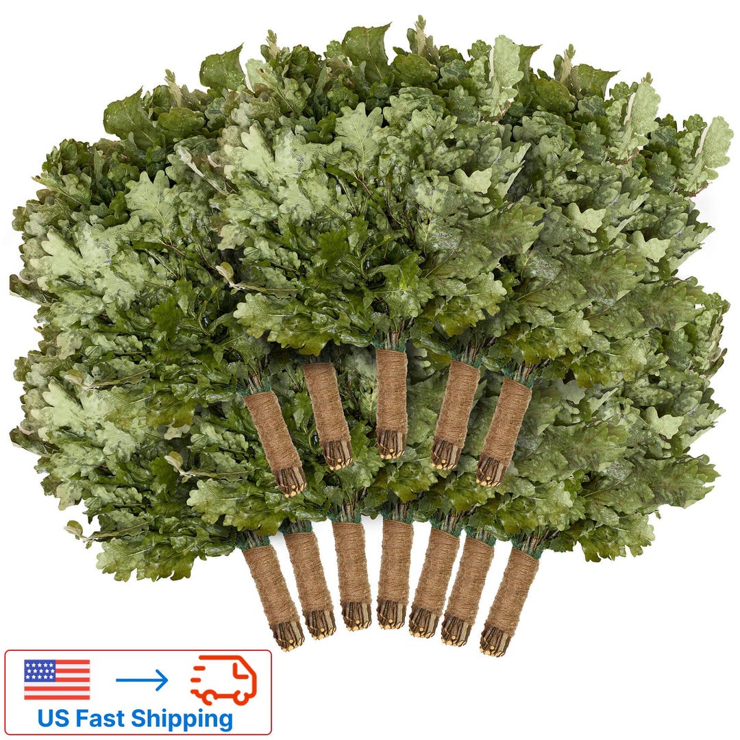European Oak Sauna Brooms Set of 12 | Authentic Oak Whisks for Sauna ...