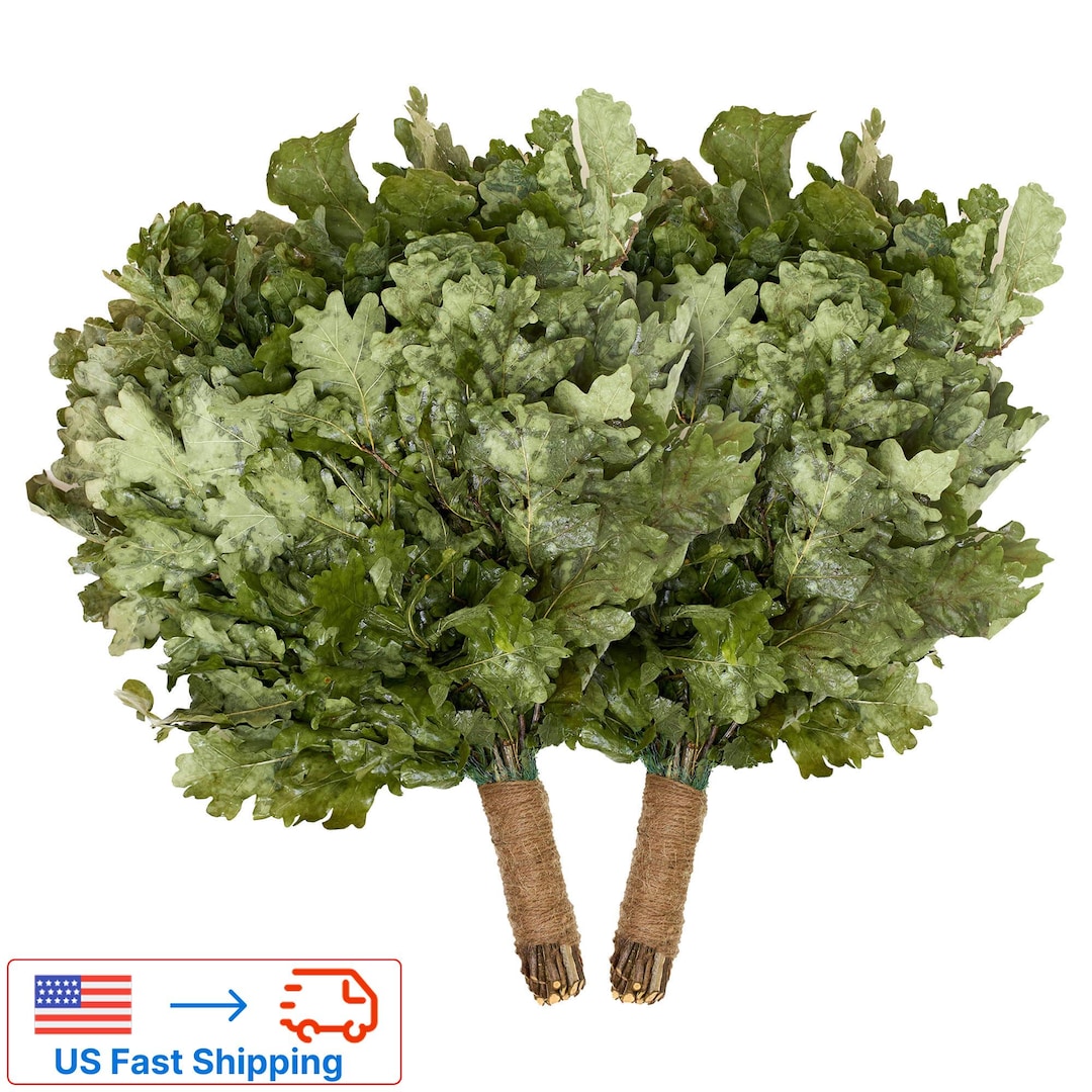 European Oak Sauna Brooms Set of 2 | Hand-tied Oak Whisks for Bathhouse ...