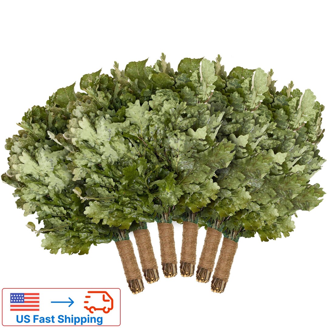 European Oak Sauna Brooms Set of 6 | Strong Oak Whisks for Detox ...