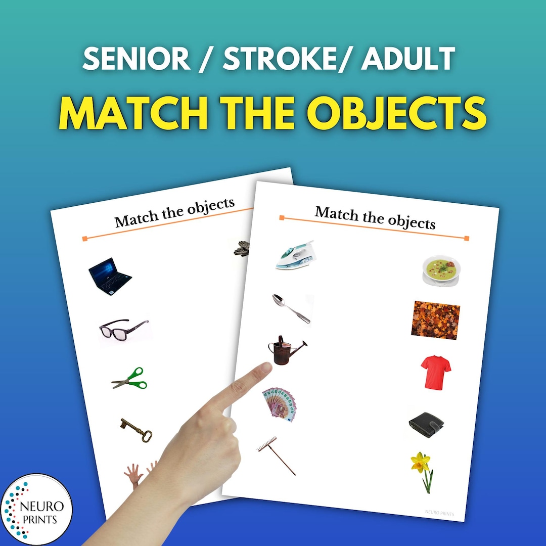 Aphasia Dementia Activities/match the Objects /stroke Recovery ...