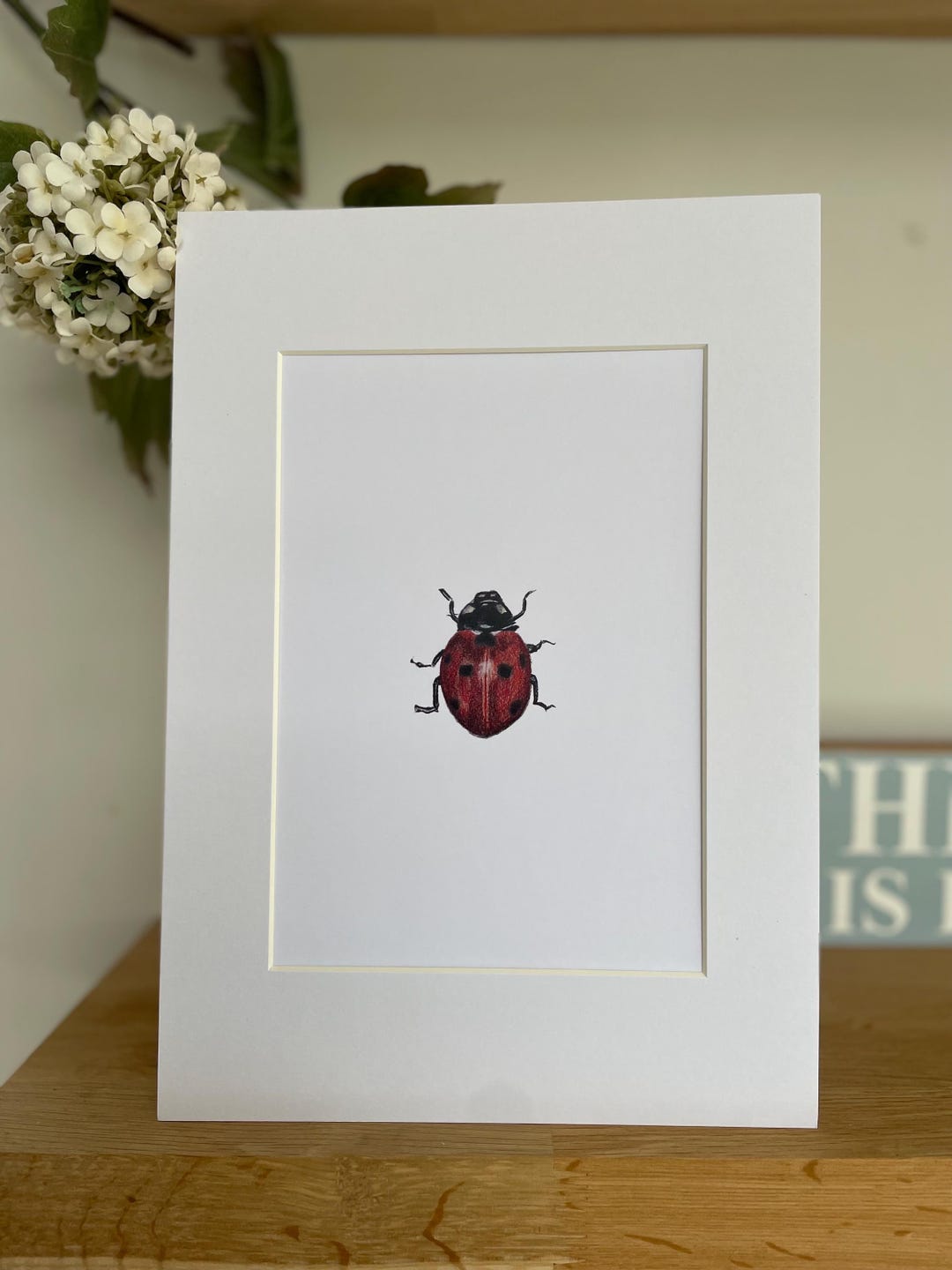 A5 Ladybird Print - Etsy