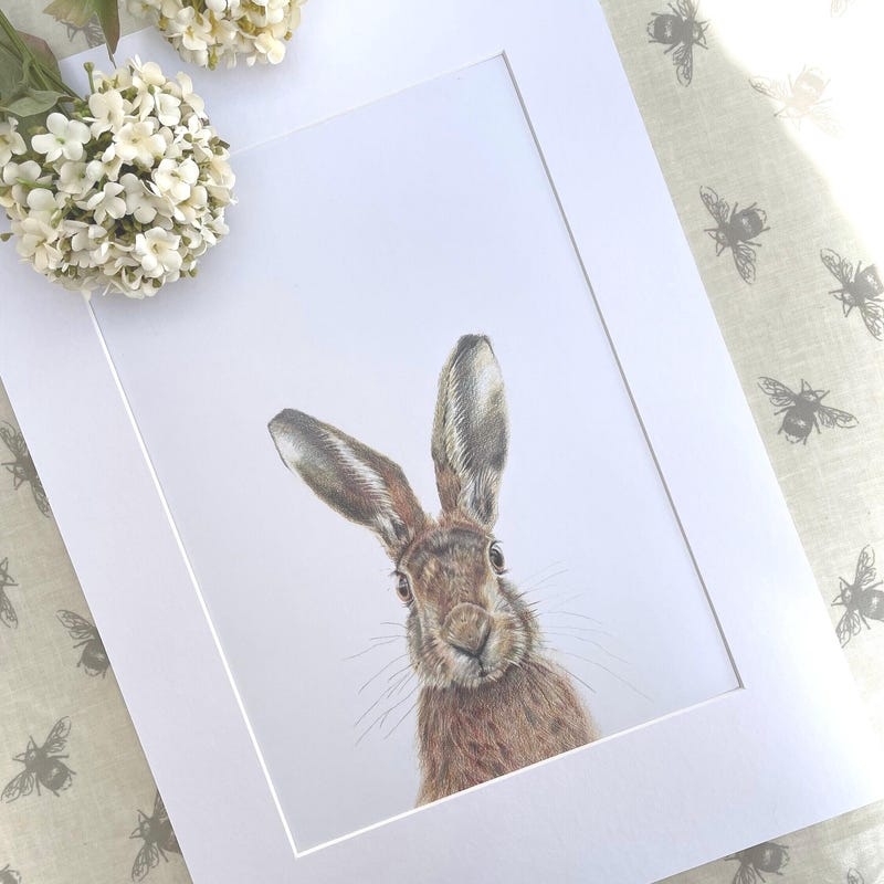 Hare Drawing - Etsy UK