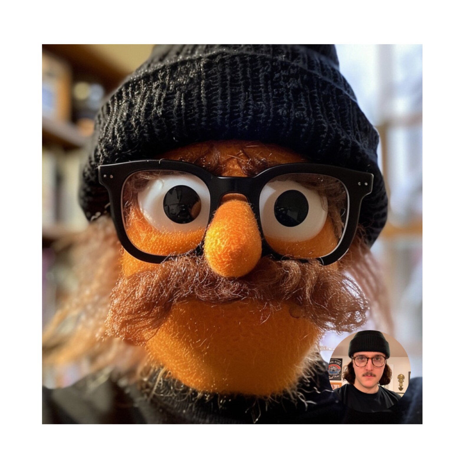 Custom Puppet Portraits - Etsy Canada