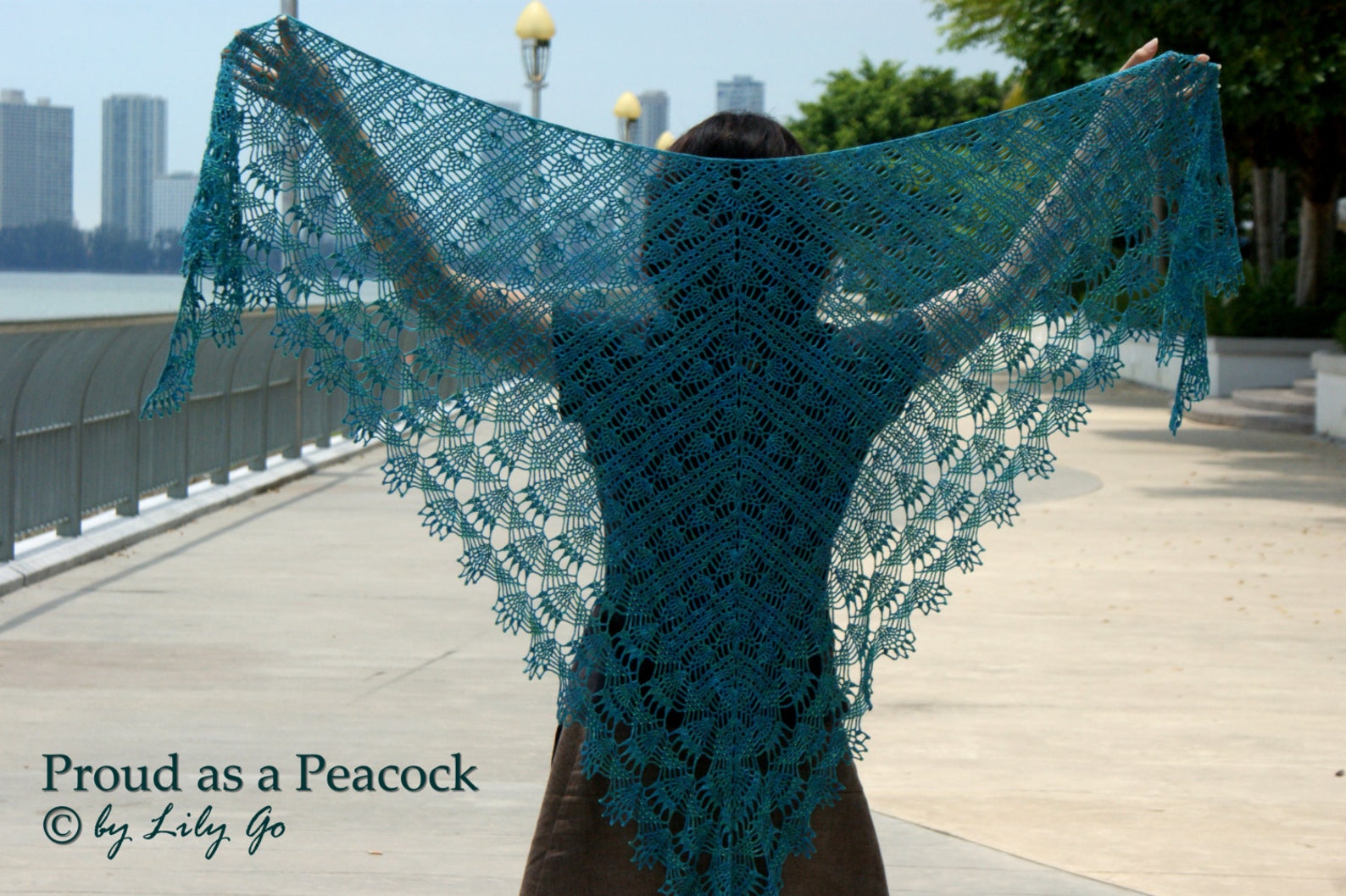 Proud as a Peacock Crocheted Shawl in PDF File - Etsy