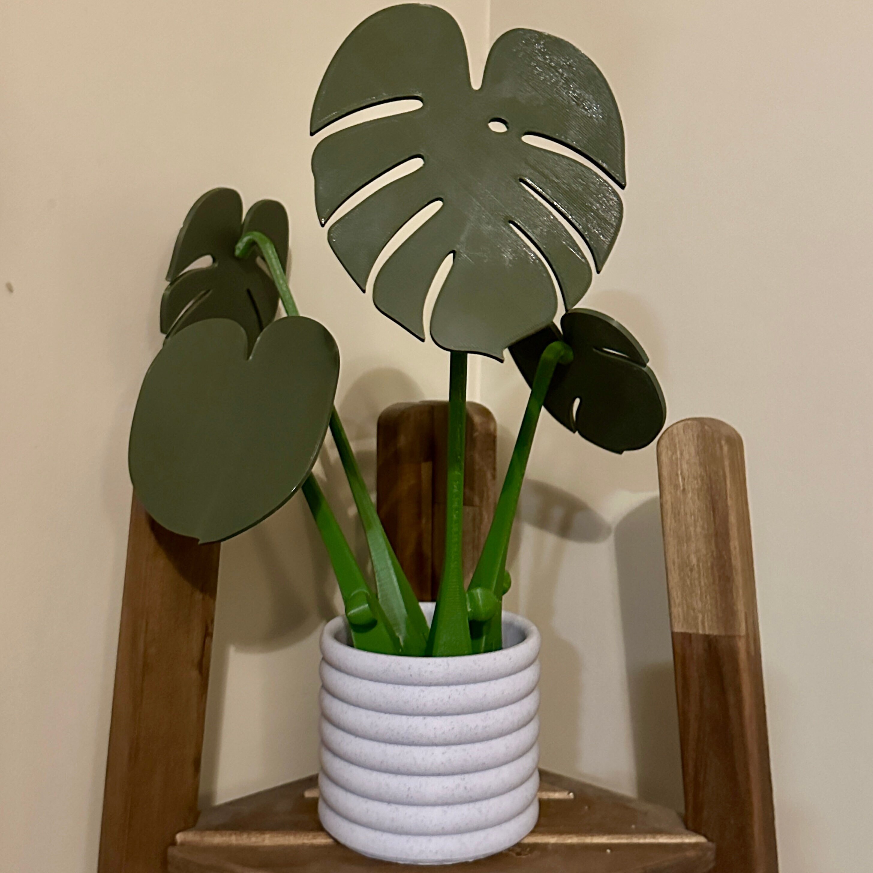 Monstera Coaster Plant 3D Printed Plant - Etsy