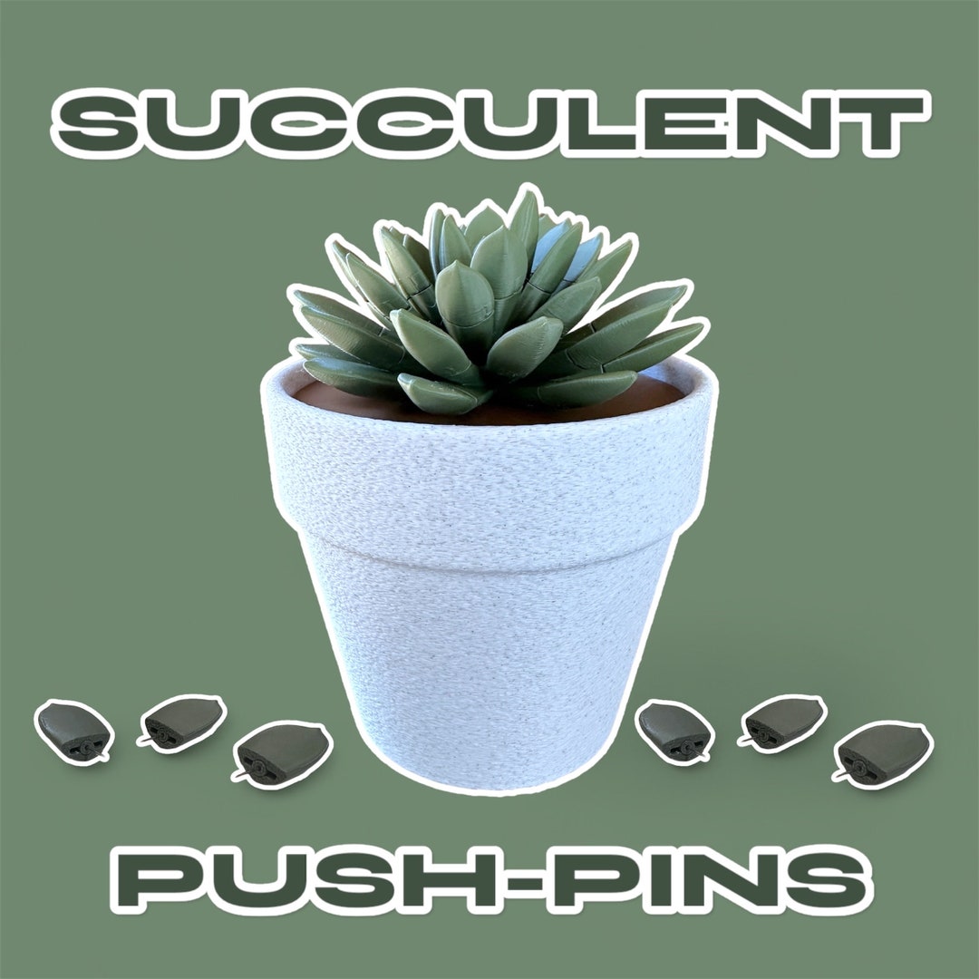 Succulent Push-pin Plant 3D Printed Plant Faux Succulent - Etsy
