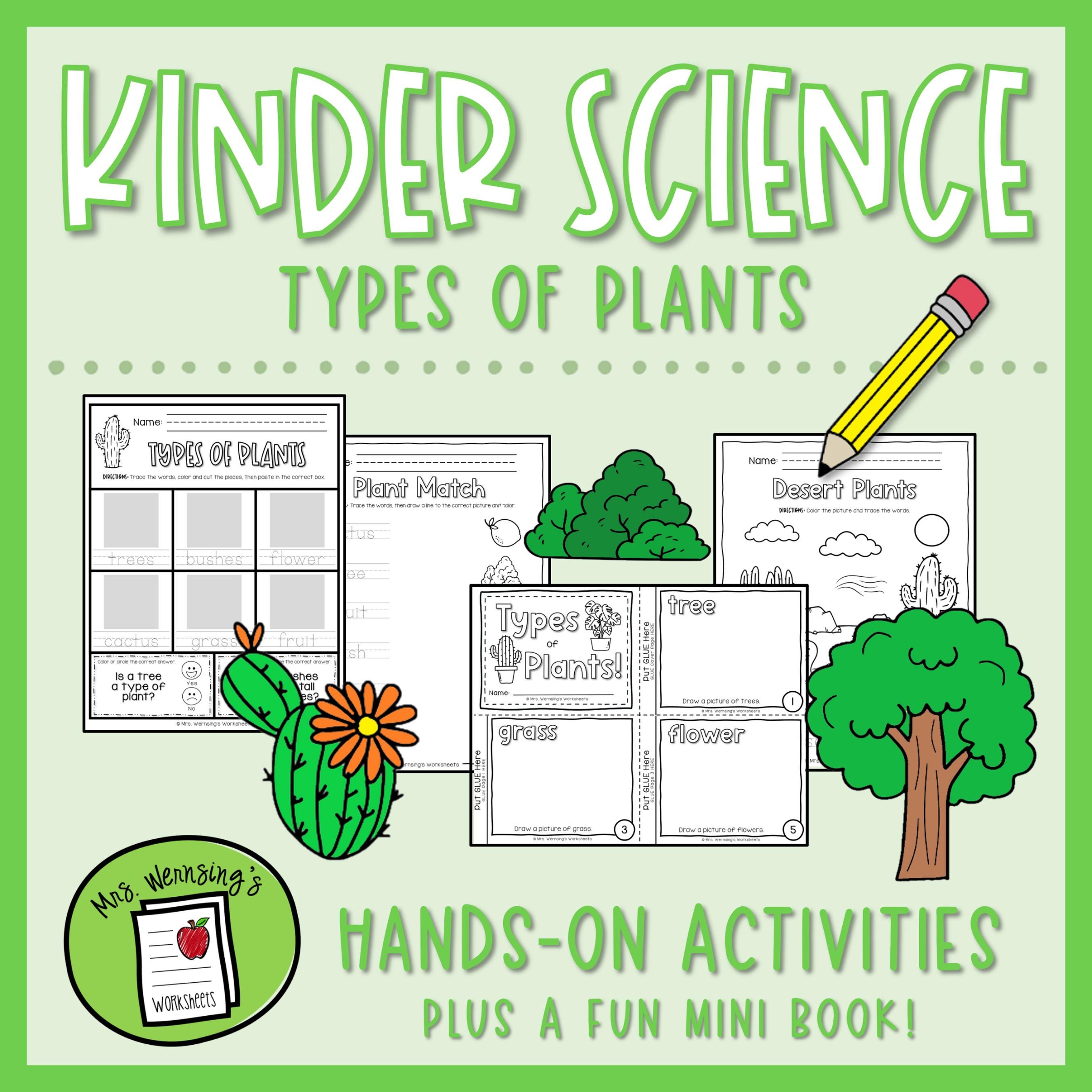 Types of Plants - KINDER SCIENCE - Etsy