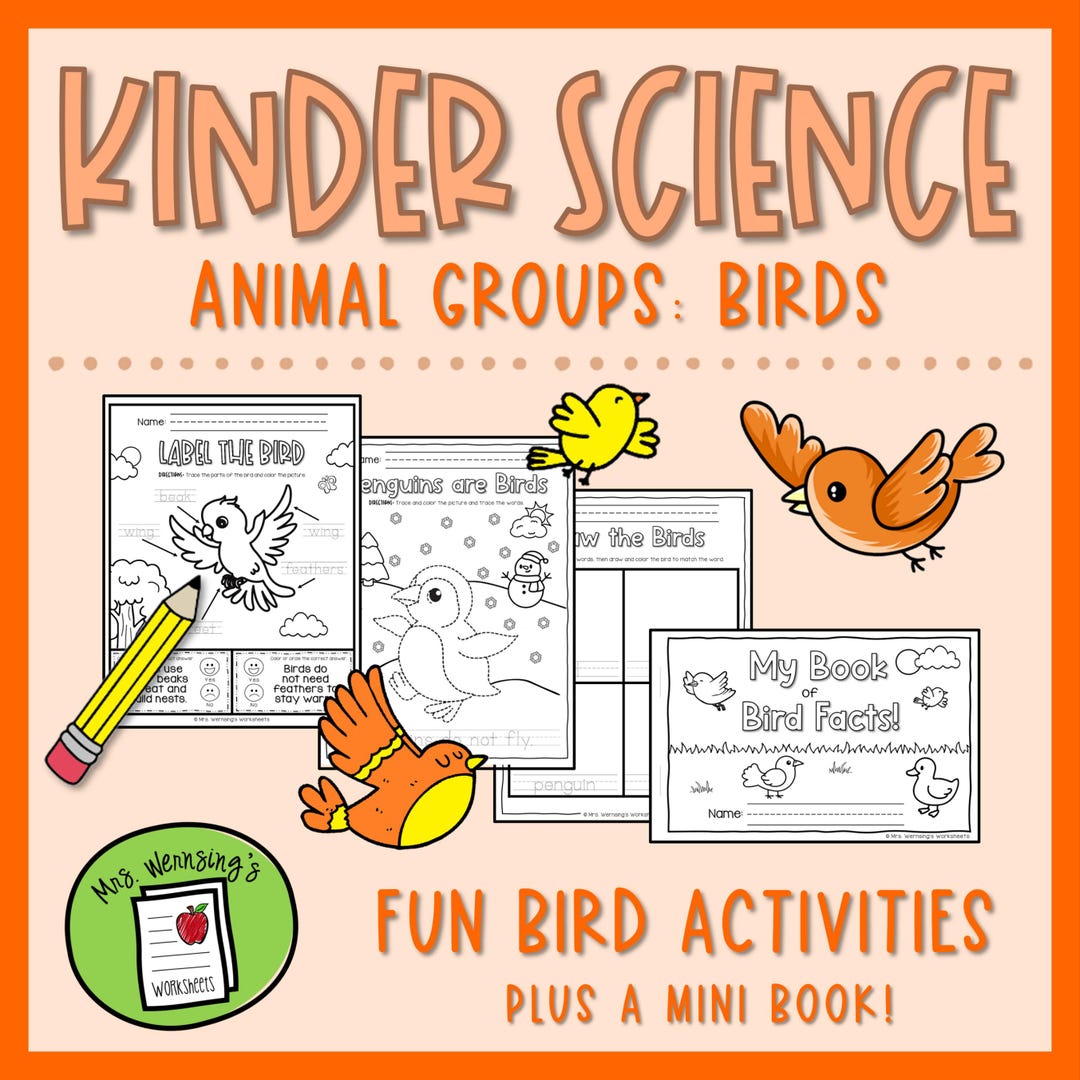 Animal Groups: BIRDS - KINDER SCIENCE - Etsy