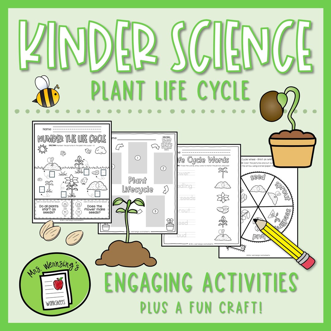 Plant Life Cycle - KINDER SCIENCE - Etsy