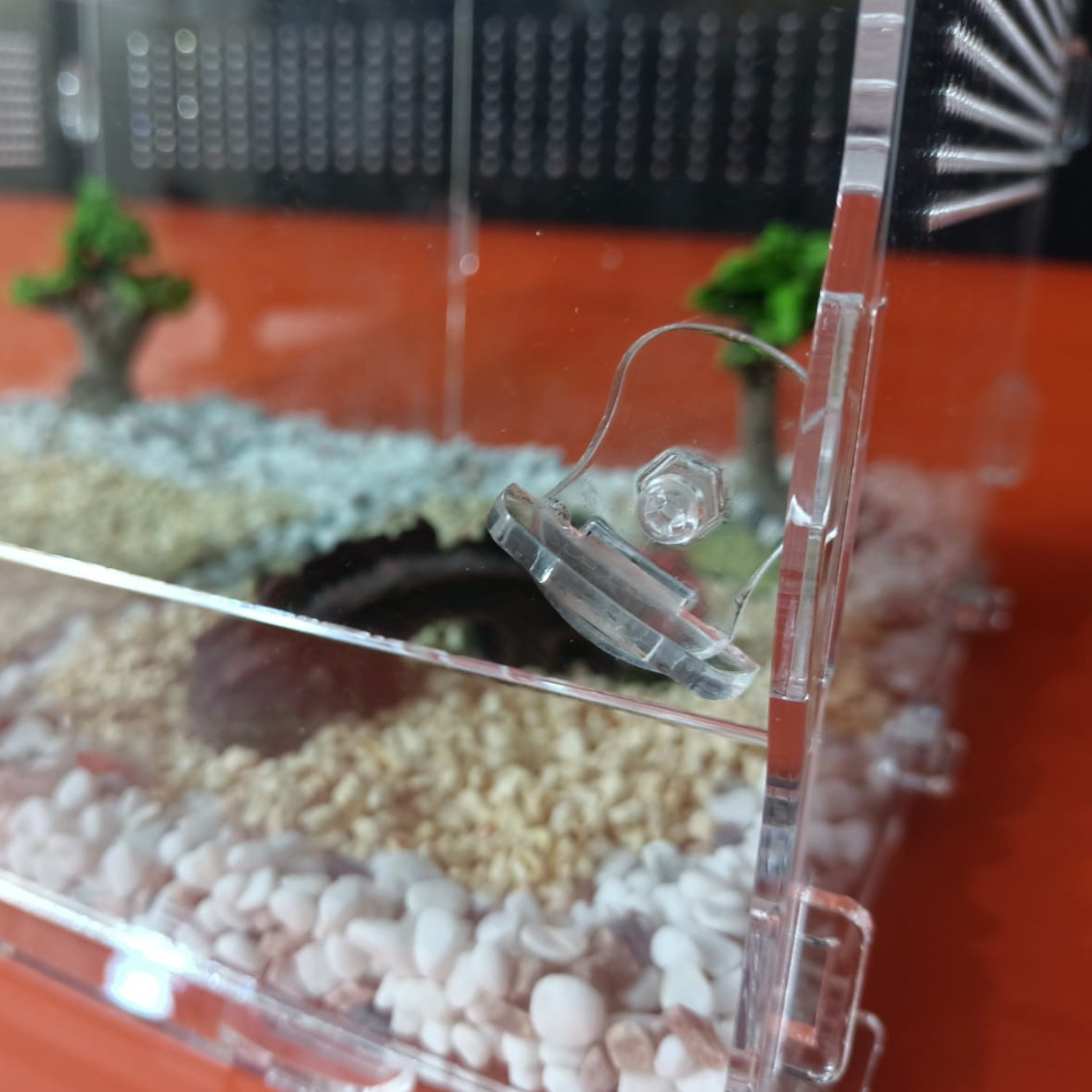 Laser Cut DXF SVG File Clear Acrylic Reptile Terrarium Lizard ...