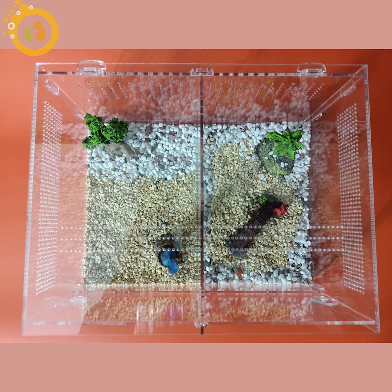 Laser Cut DXF SVG File Clear Acrylic Reptile Terrarium Lizard ...