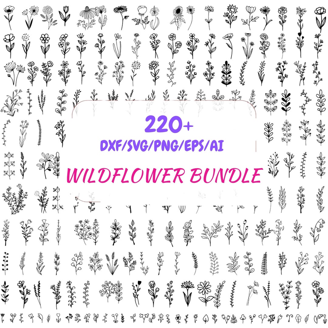 220+ Wildflower Svg-eps-png-dxf-ai Bundle - Vector, Silhouette, Clipart ...