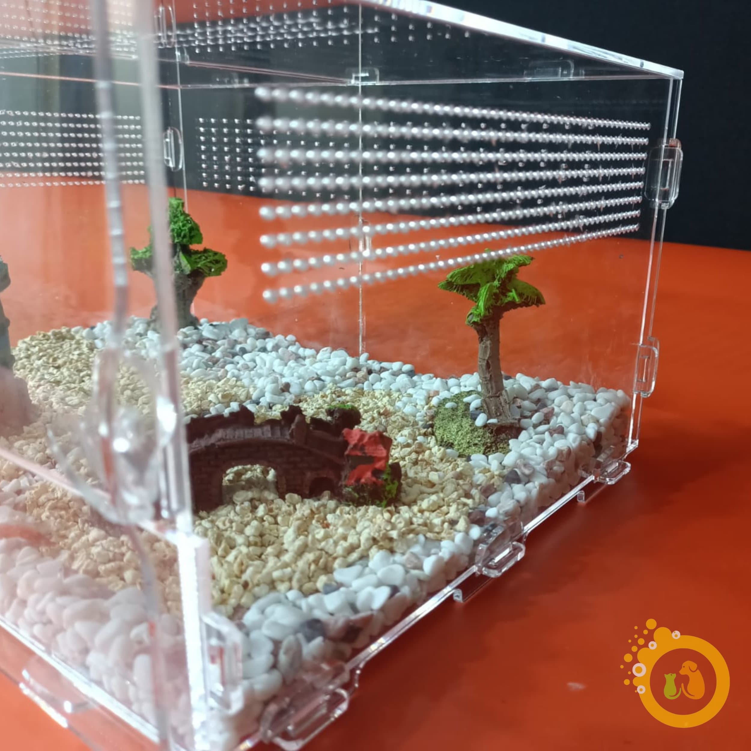 Laser Cut DXF SVG File Clear Acrylic Reptile Terrarium Lizard ...