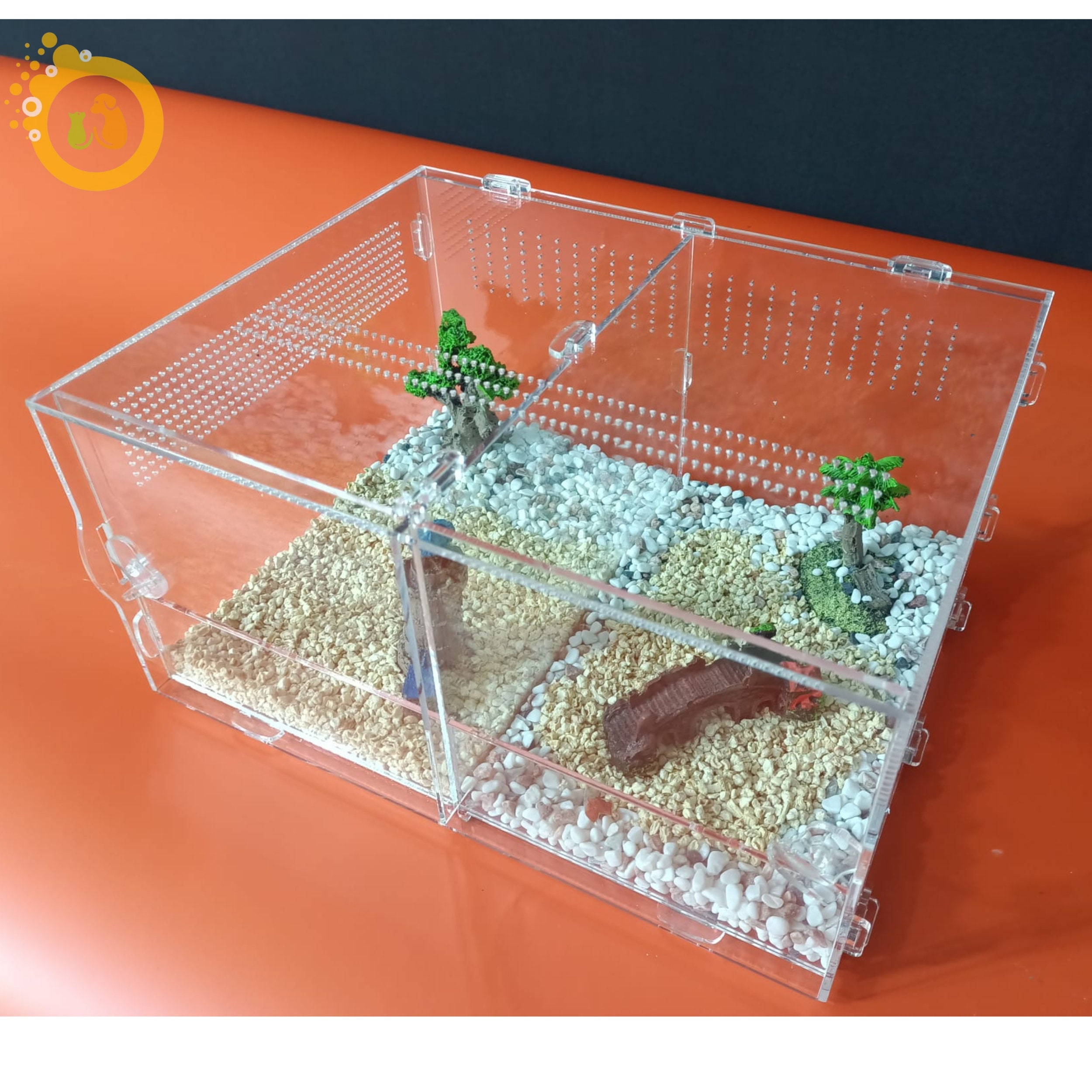 Laser Cut DXF SVG File Clear Acrylic Reptile Terrarium Lizard ...