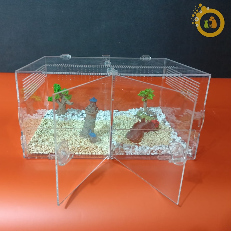 Laser Cut DXF SVG File Clear Acrylic Reptile Terrarium Lizard ...