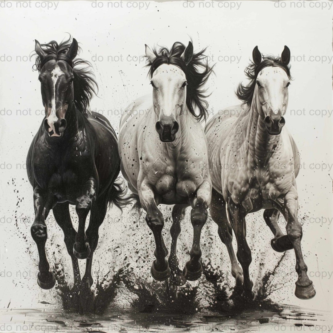 Wild Running Horses Wall Art, Horses Running Free Art, Horse Wall Art ...