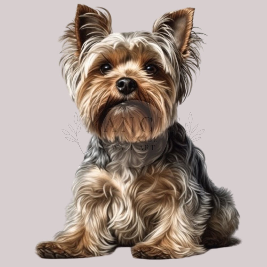 Yorkie Silkie Dog Wall Art, Yorkshire Terrier Dog Wall Art, Terrier Dog ...