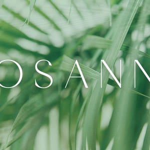 Hosanna - Palm Sunday Worship Graphic | Easter Sermon Slide | Digital ...