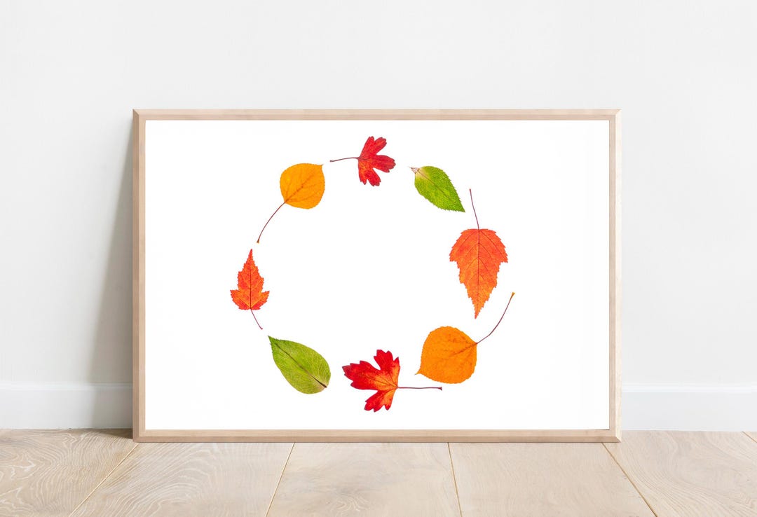 Pressed Flower Art, Pressed Flowers, X-ray Leaves, the Flower Child ...