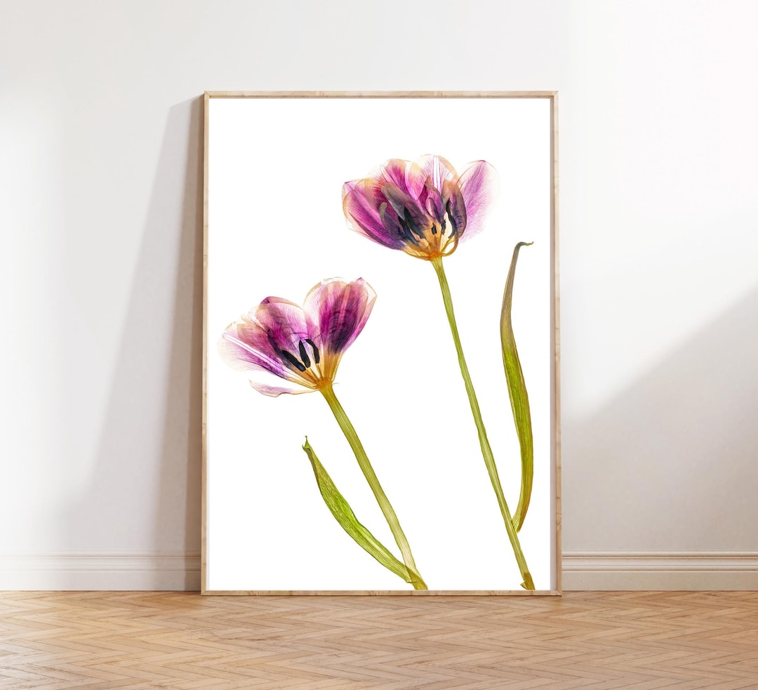 Real Flower Art-pressed Flower Print-x-ray Flower Art-the Flower Child ...