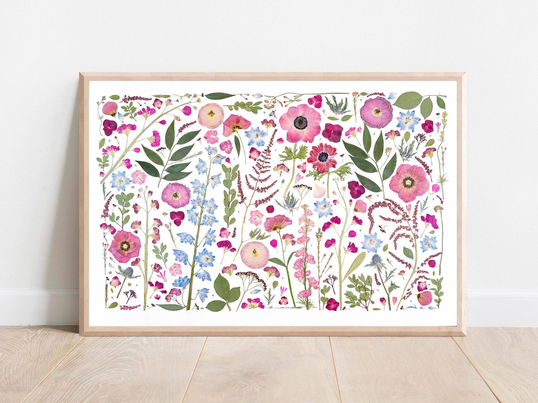 Real Pressed Flower Art, Real Flower Art-botanical Wall Art, the Flower ...