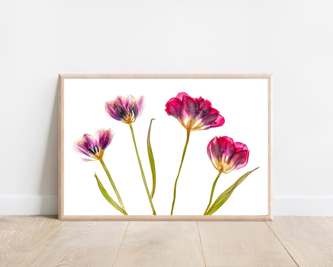 Real Flower Art-pressed Flower Print-x-ray Flower Art-the Flower Child ...