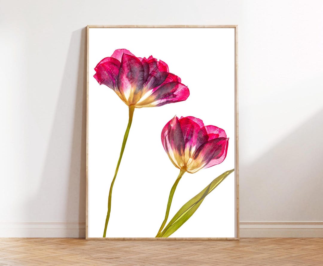 X-ray Flower Photo Print-real Flower Frame-pressed Flower Art Prints ...