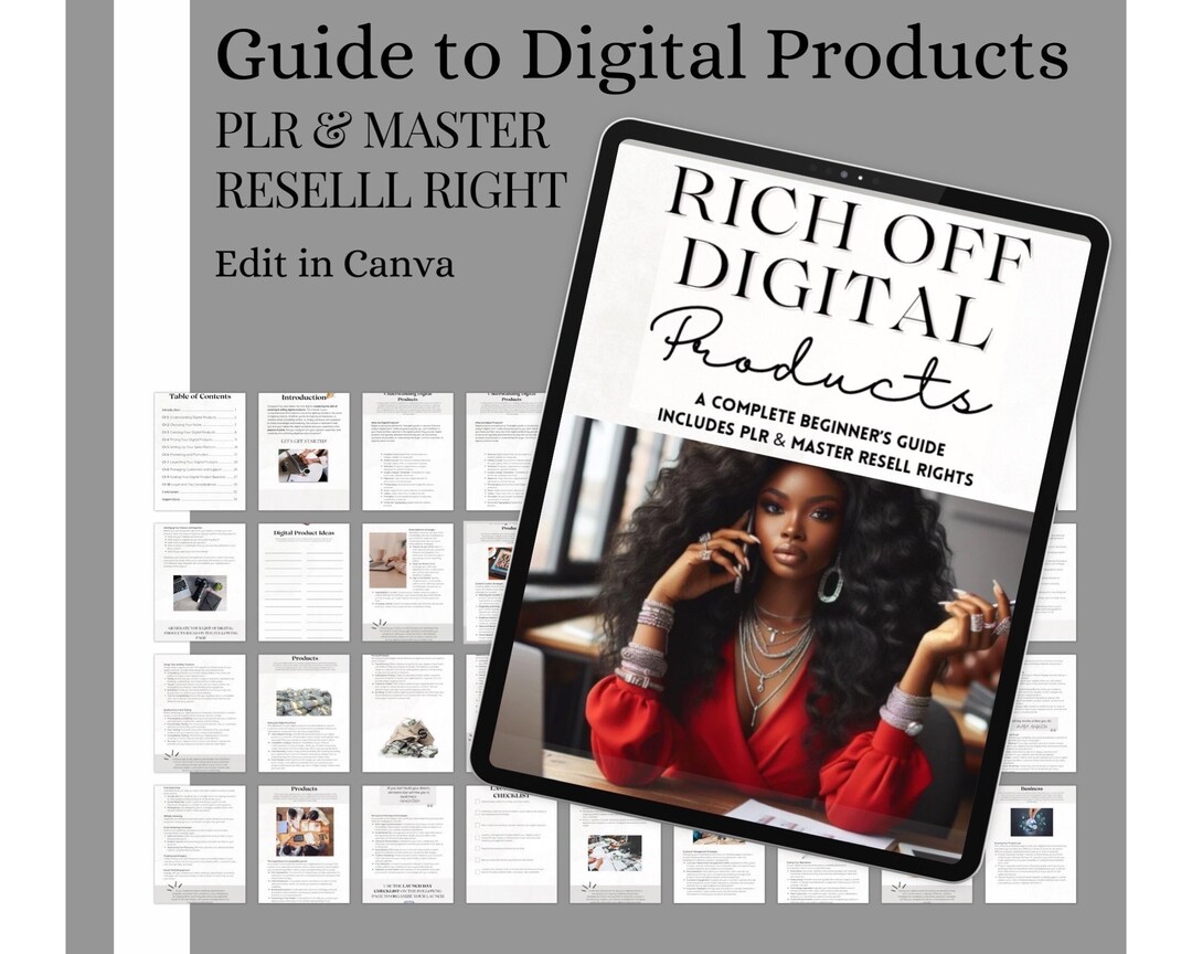 Beginner's Guide to Selling Digital Products: PLR & Master Resell ...