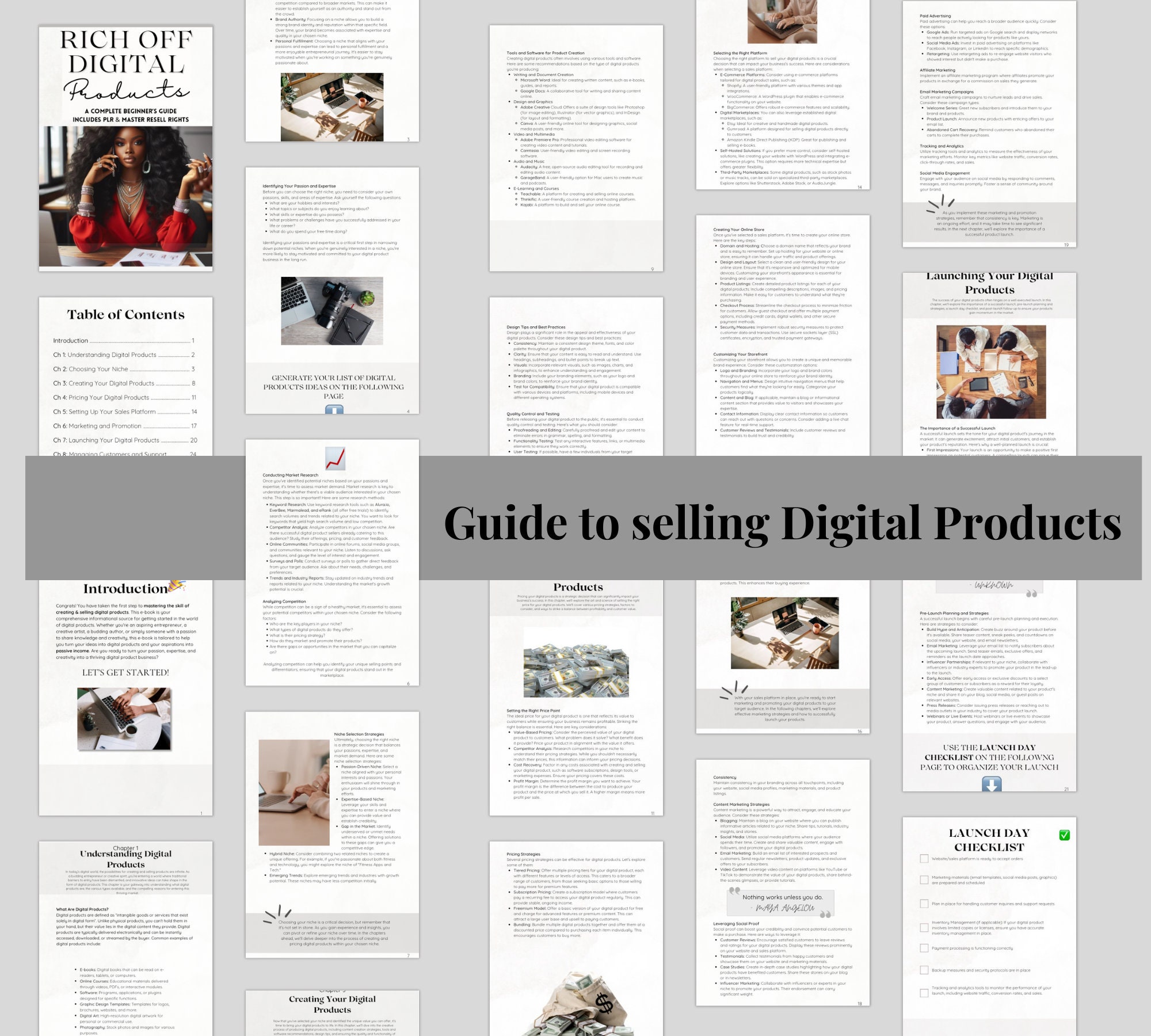 Beginner's Guide to Selling Digital Products: PLR & Master Resell ...