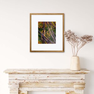 Nature Landscape Painting, Fallen Forest Trees Art, Small One of a Kind ...