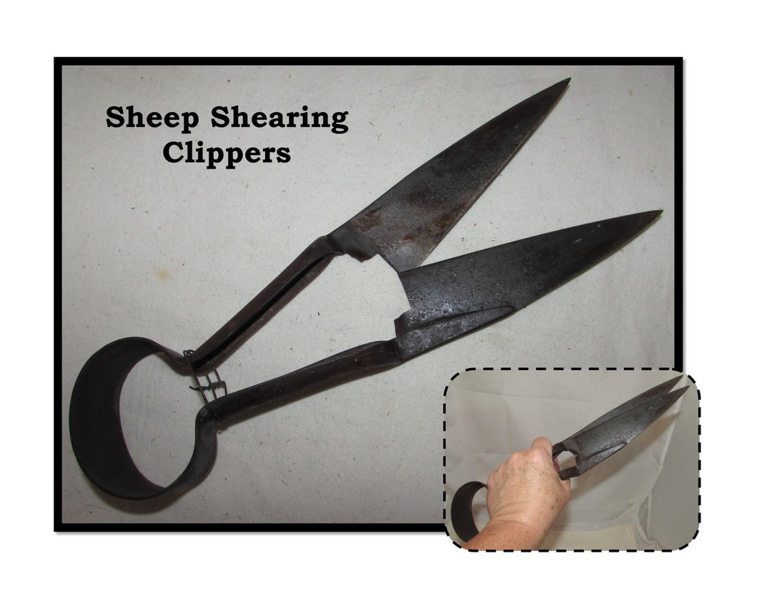 Vintage Sheep Shearing Wool Clippers, Manual - Etsy