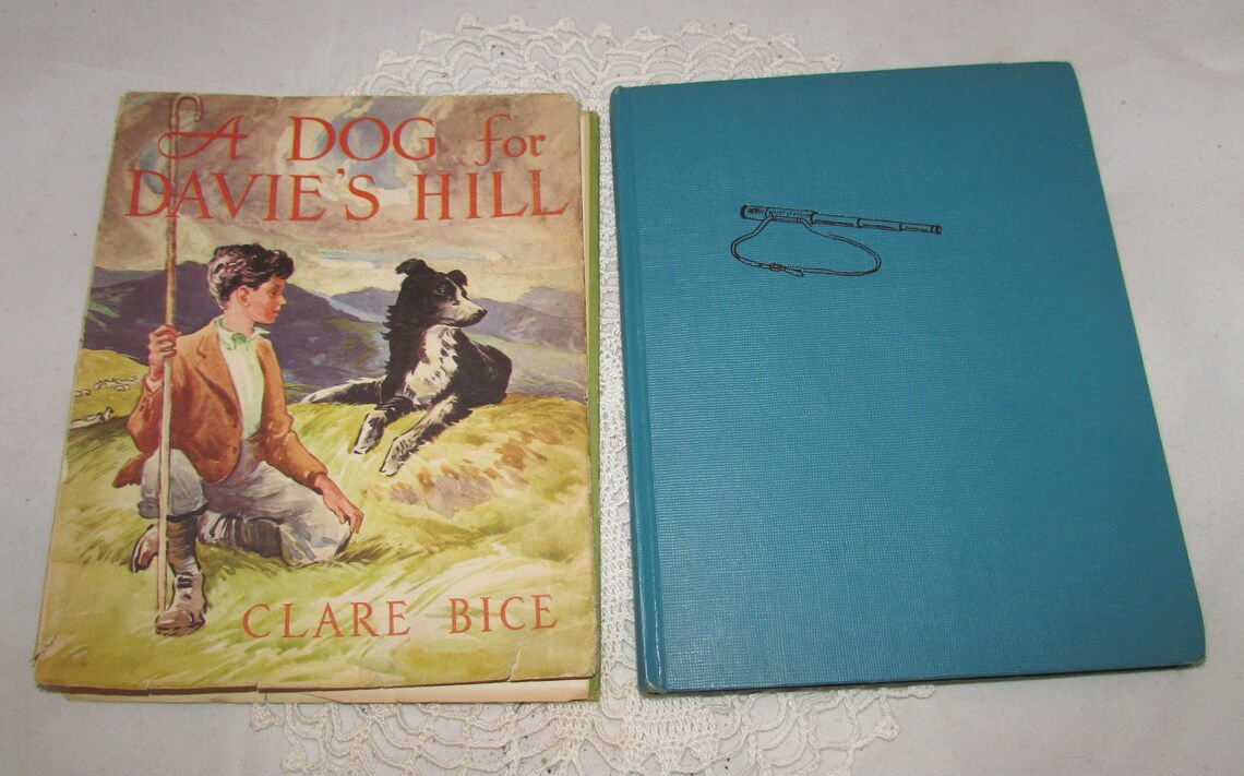 Vintage Hardcover Childrens Book A Dog for Davie's Hill - Etsy
